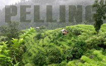 Go to Pelling - Where Himalaya Stands High